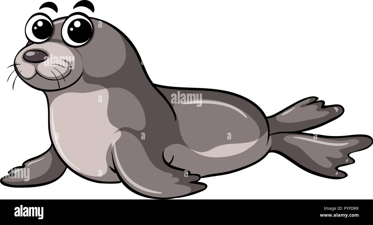 Seal face expression Stock Vector Images - Alamy