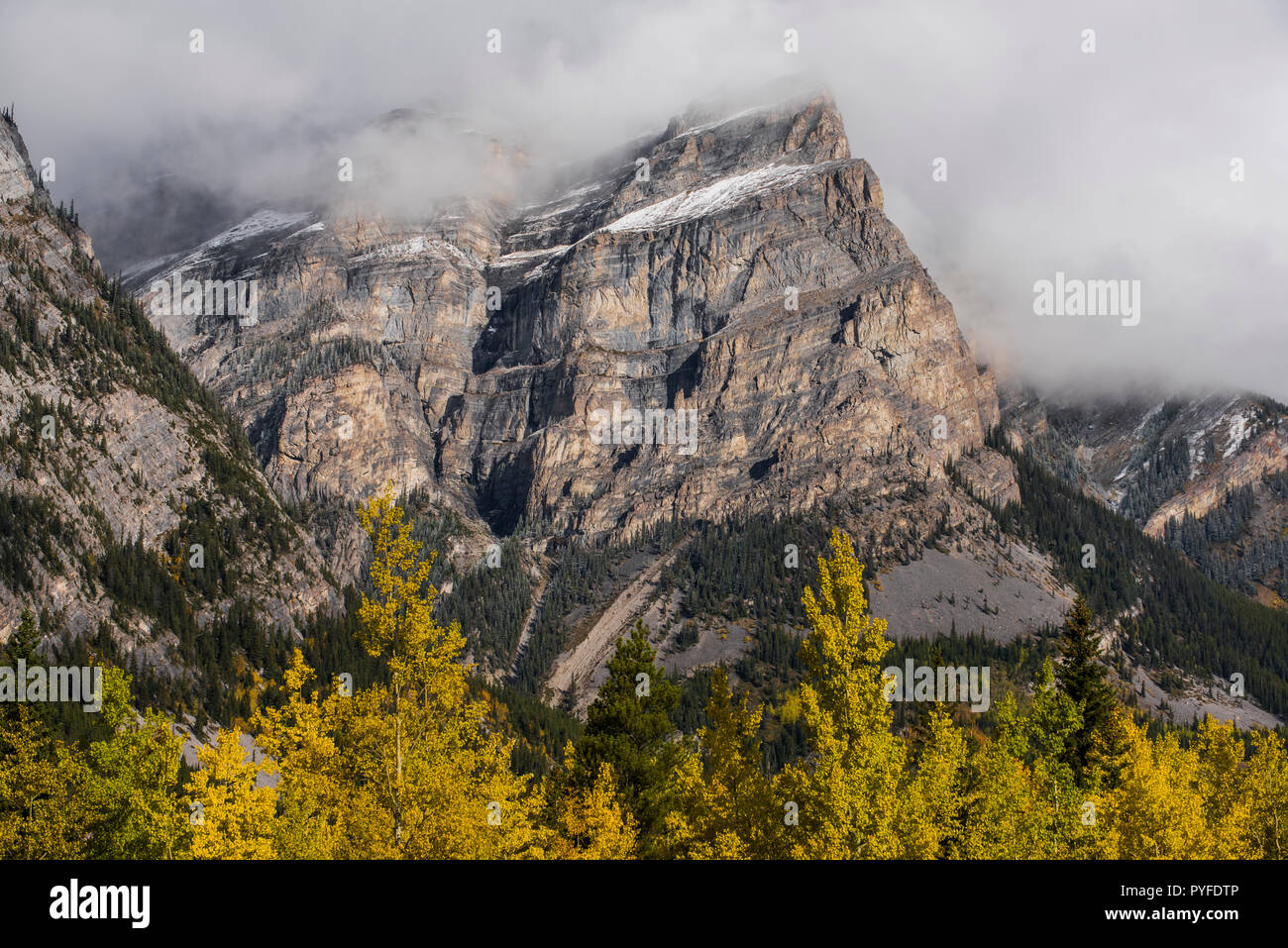 Fall colors, Spray Valley Provincial Park, Alberta, Canada, by Bruce ...