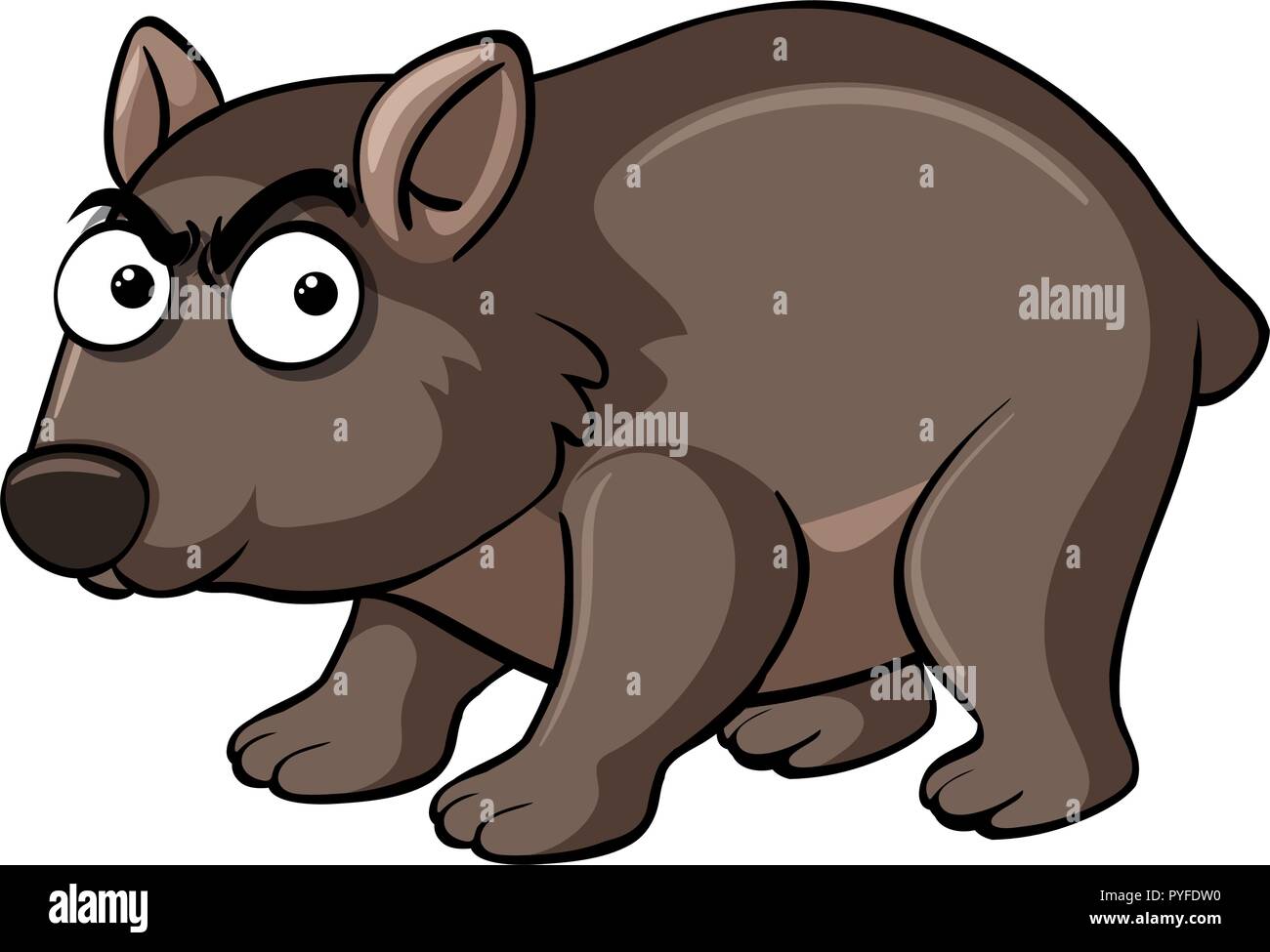 Angry wombat hi-res stock photography and images - Alamy