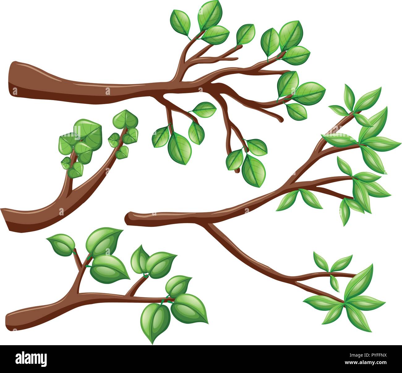 Different design of branches illustration Stock Vector Image & Art - Alamy