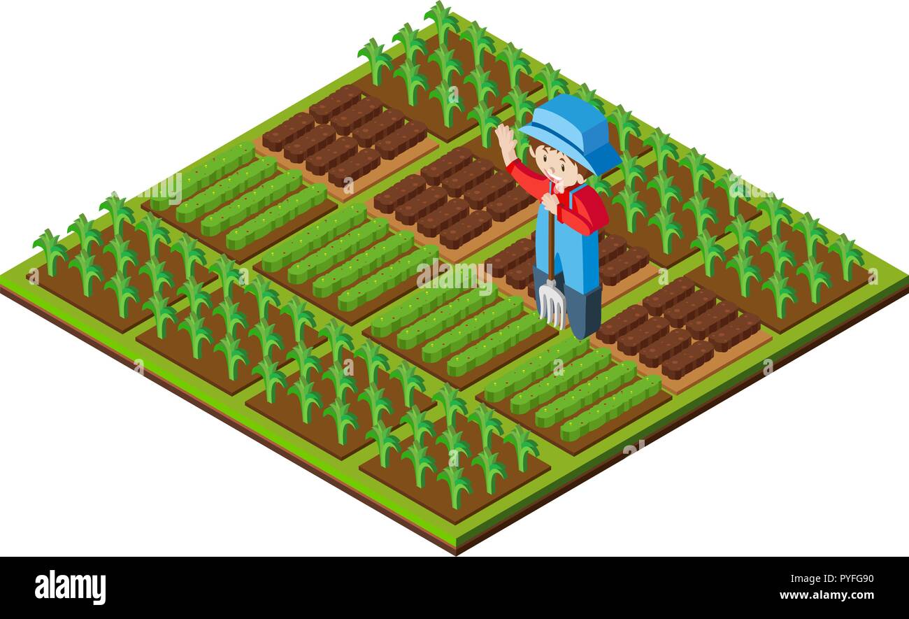 Vegetable Crops Stock Vector Images - Alamy