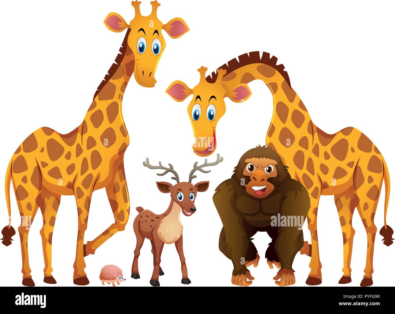 Four Types Of Animals Illustration Stock Vector Image Art Alamy four-types-of-animals-illustration-stock-vector-image-art-alamy