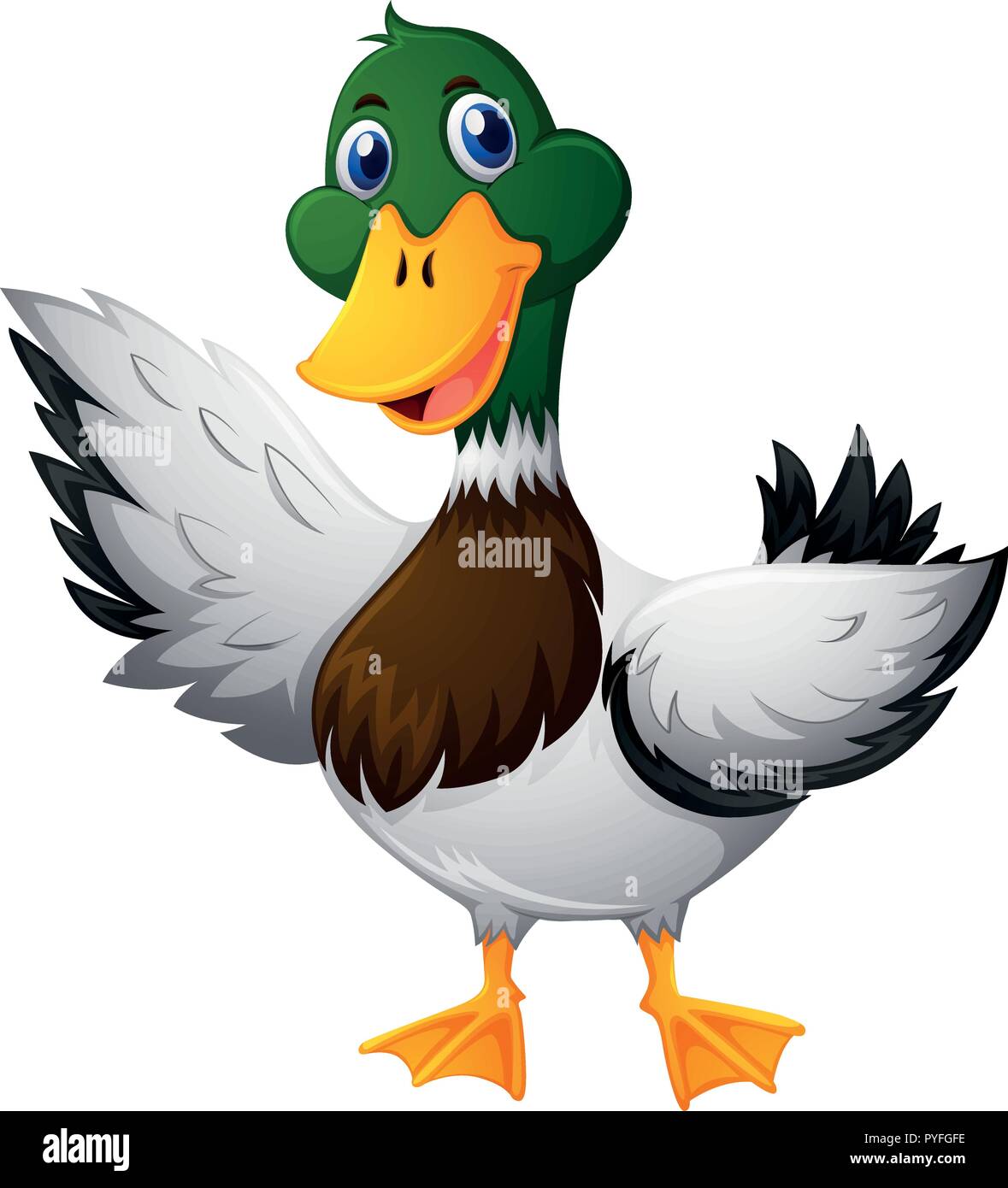 Wild duck on white background illustration Stock Vector Image & Art - Alamy