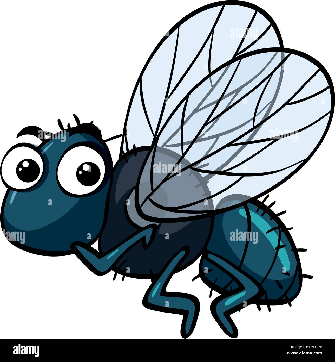 Housefly on white background illustration Stock Vector Image & Art - Alamy