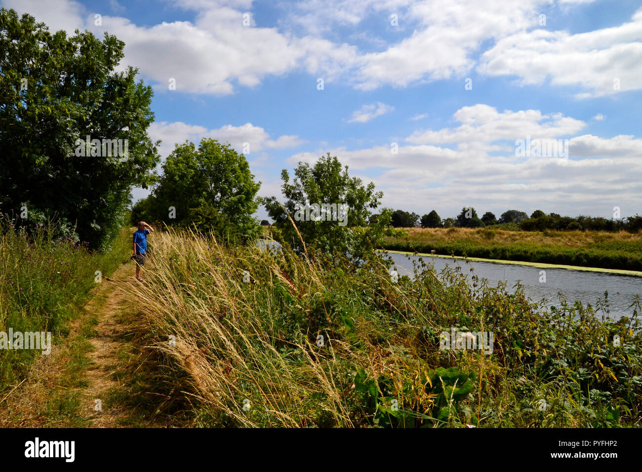 Witham country park hi-res stock photography and images - Alamy