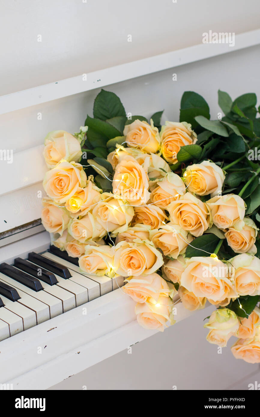 White grand piano isolated on hi-res stock photography and images - Alamy