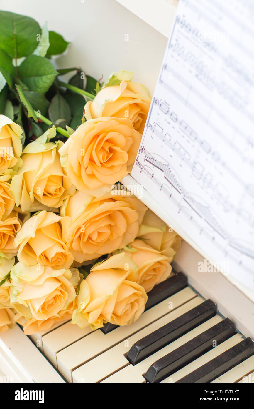 Border musical notes piano hi-res stock photography and images - Alamy