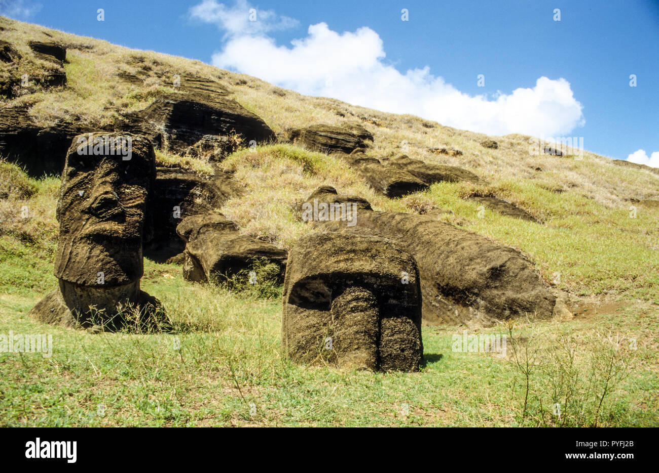 Two Moai statues at angles on a hillside Stock Photo - Alamy