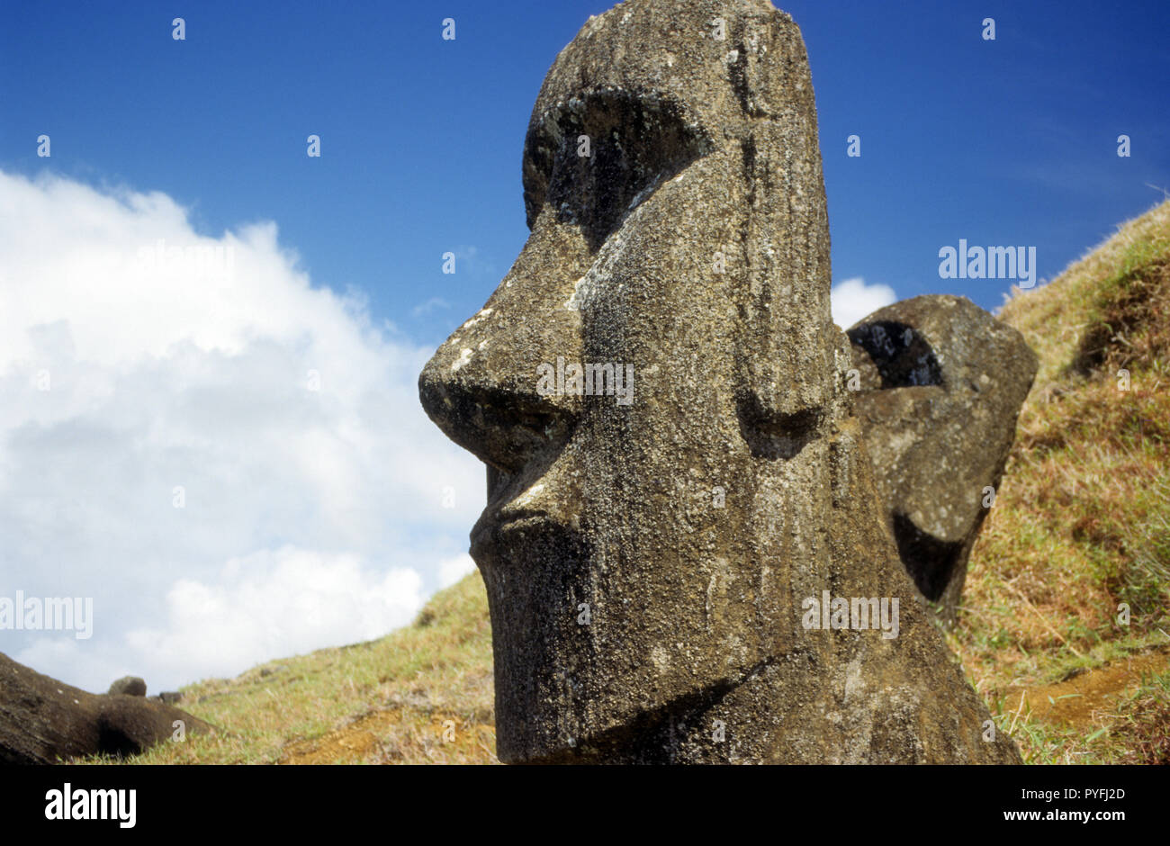 Two Moai statues at angles on a hillside Stock Photo - Alamy
