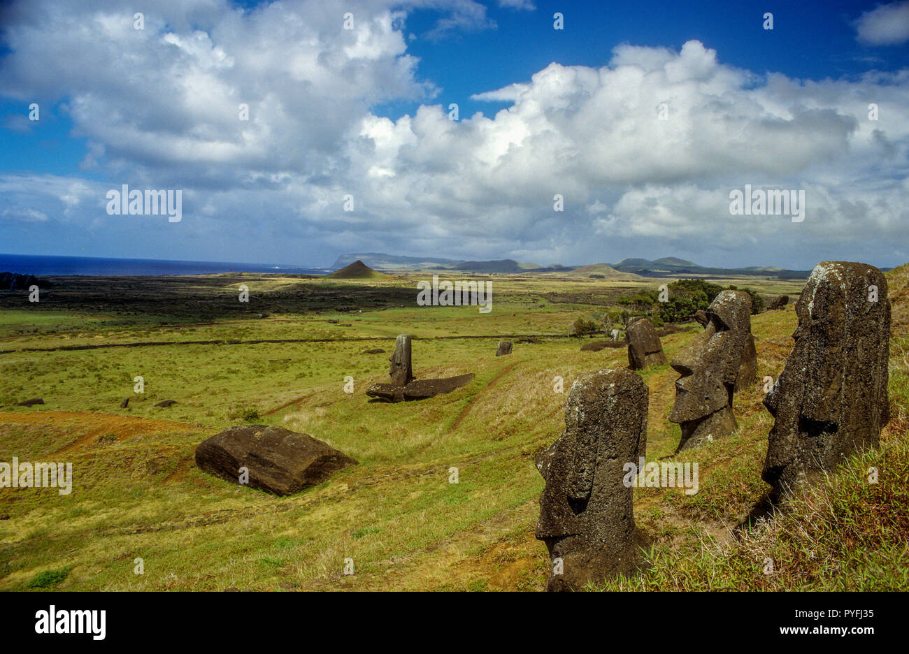Moai statues at angles on a hillside looking towards the Pacific Ocean ...