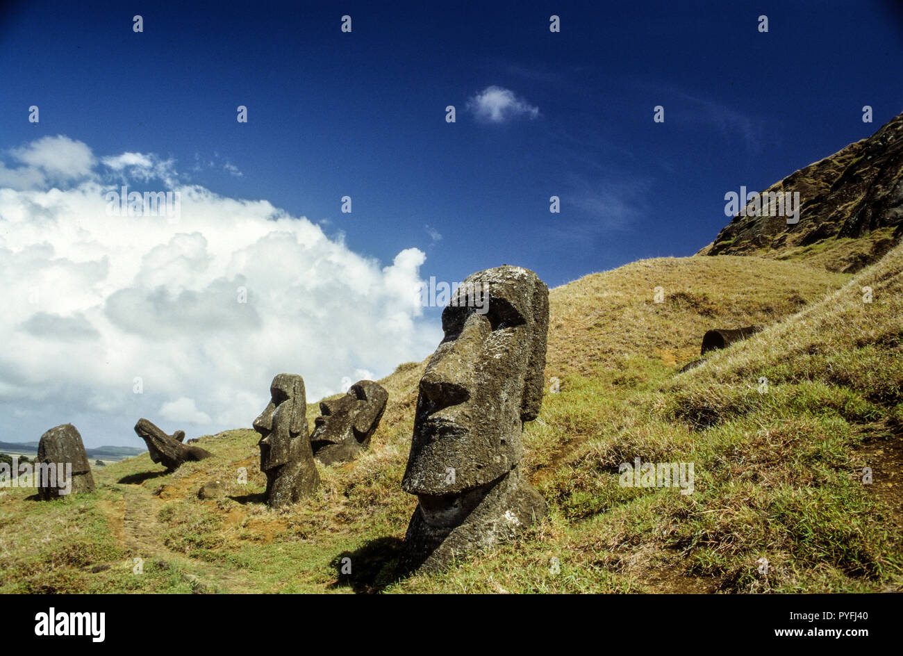 Maoi statues sitting at different angles on a hillside Stock Photo - Alamy