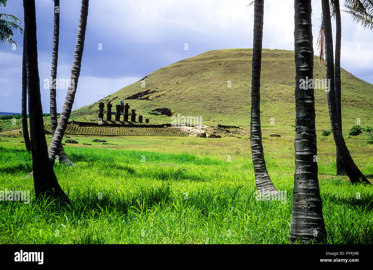 Easter island figures hi-res stock photography and images - Alamy