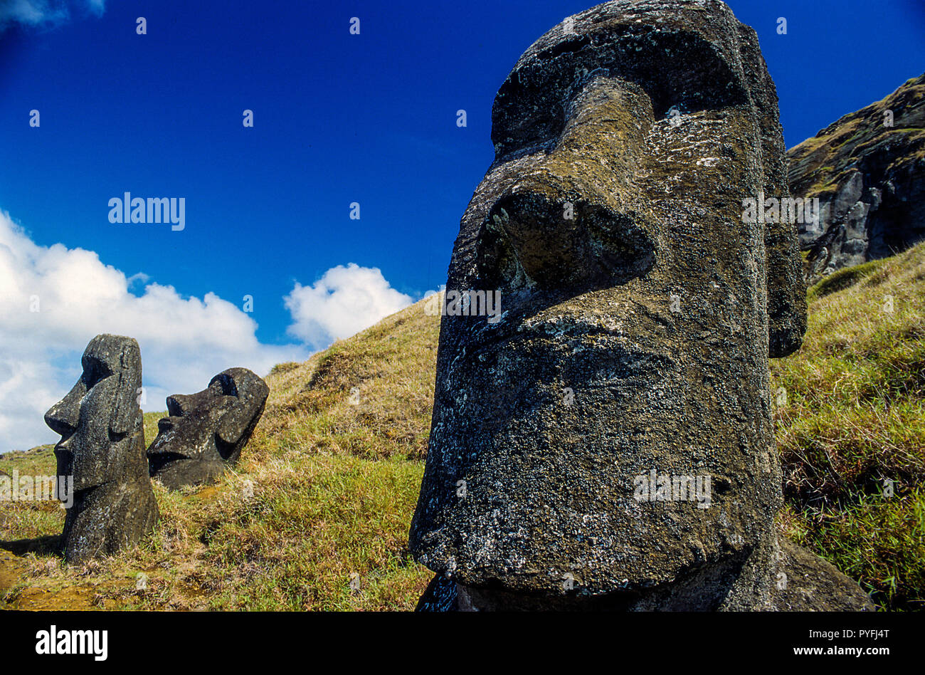 Two Maoi statues at angles on a hillside Stock Photo - Alamy