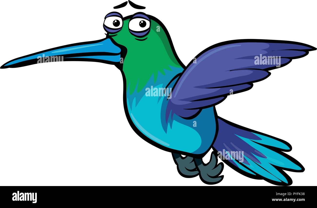 Sad hummingbird on white background illustration Stock Vector Image ...