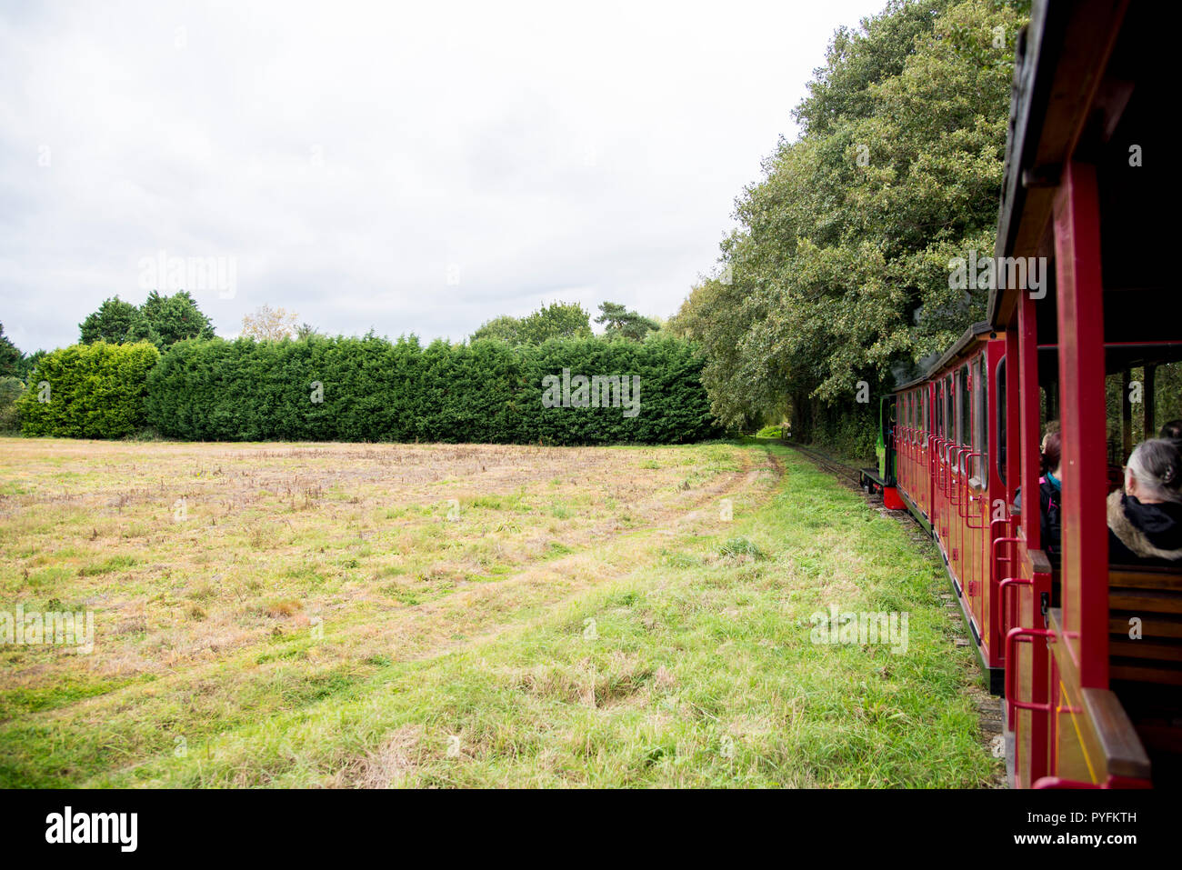 Narrow gauge steam locomotive bressingham hi-res stock photography and ...