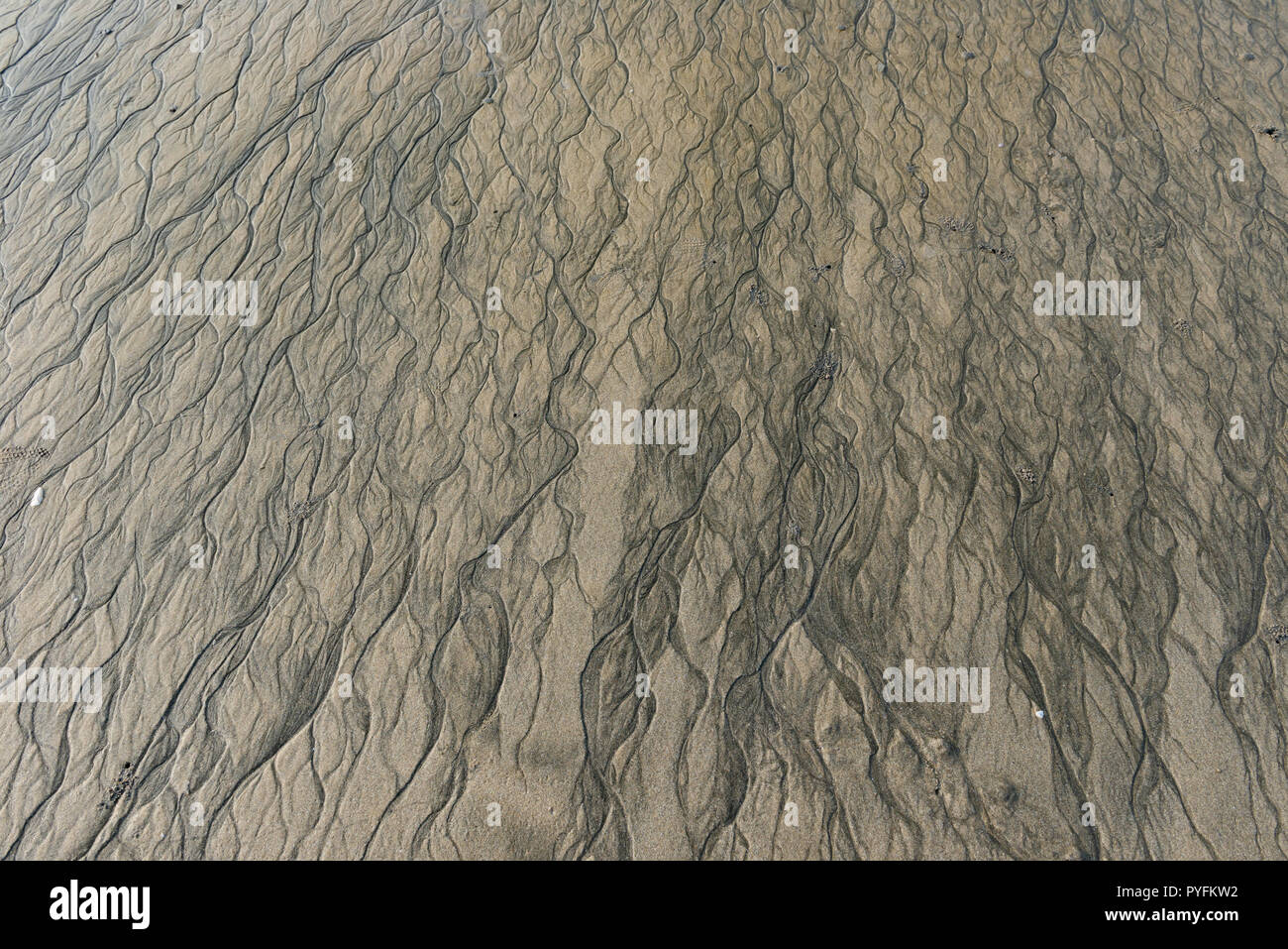 ripple marks on a sand beach Stock Photo - Alamy
