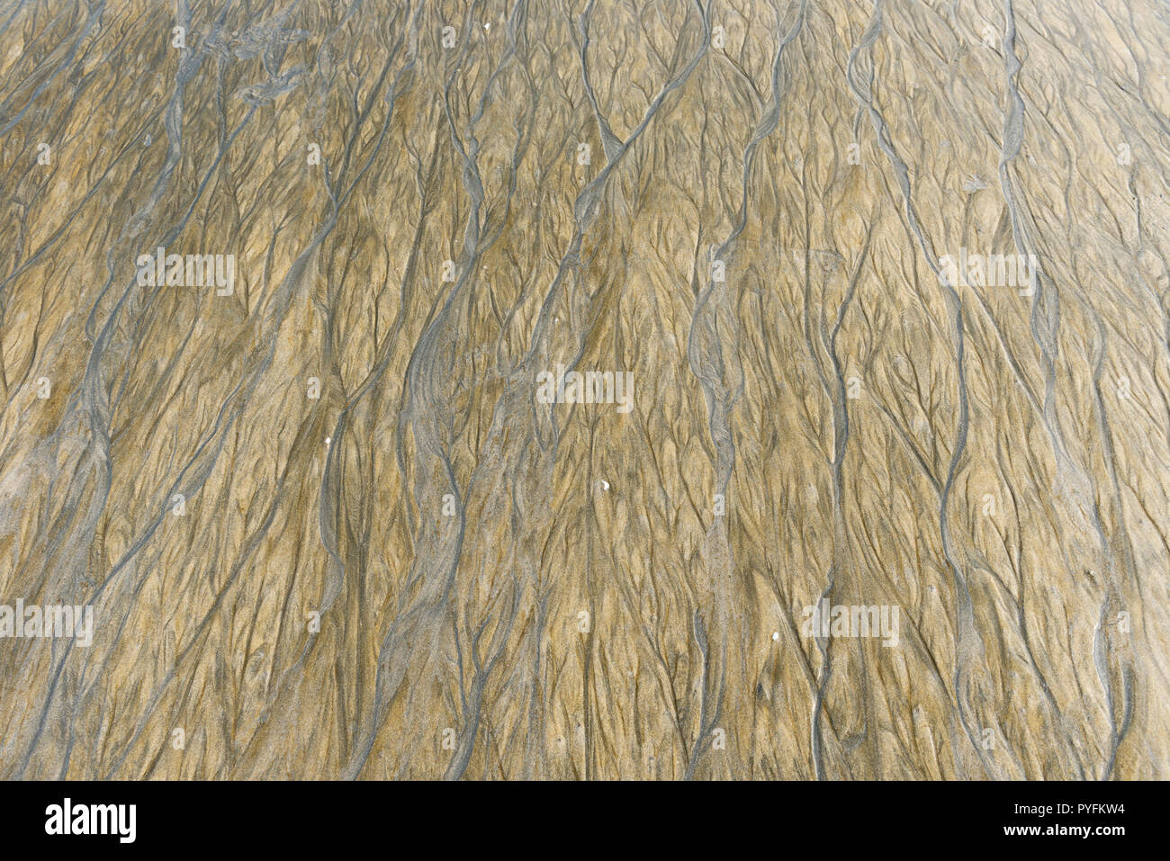 ripple marks on a sand beach Stock Photo - Alamy