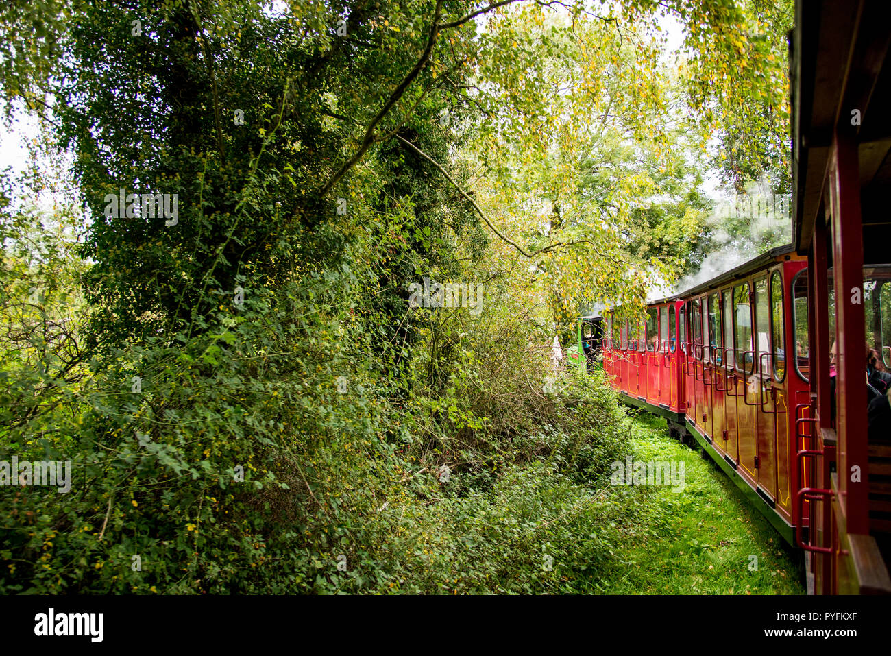 Narrow gauge steam locomotive bressingham hi-res stock photography and ...