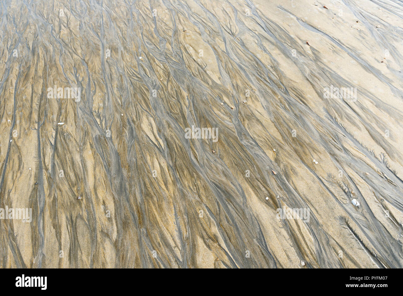 ripple marks on a sand beach Stock Photo - Alamy