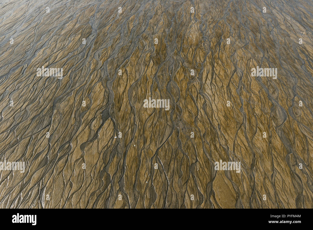 ripple marks on a sand beach Stock Photo - Alamy