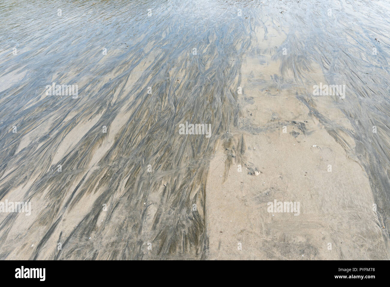 ripple marks on a sand beach Stock Photo - Alamy