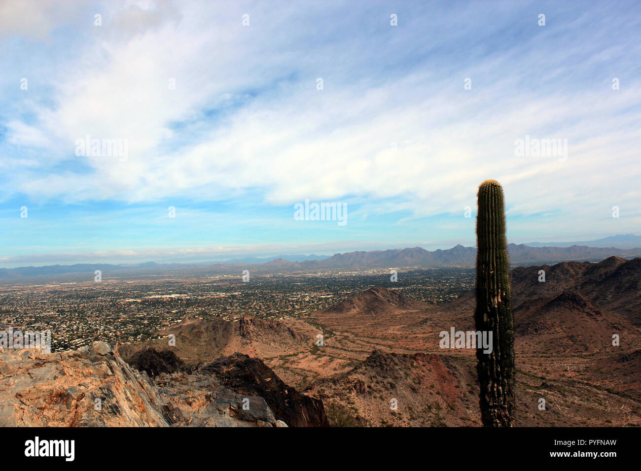 View from the summit of Piestewa Summit Trail of a cactus, Phoenix ...