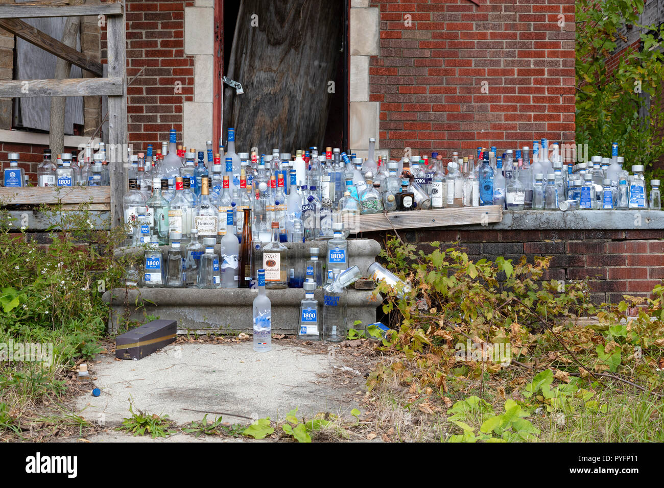 Inner city Detroit, Michigan USA, by James D Coppinger/Dembinsky Photo ...