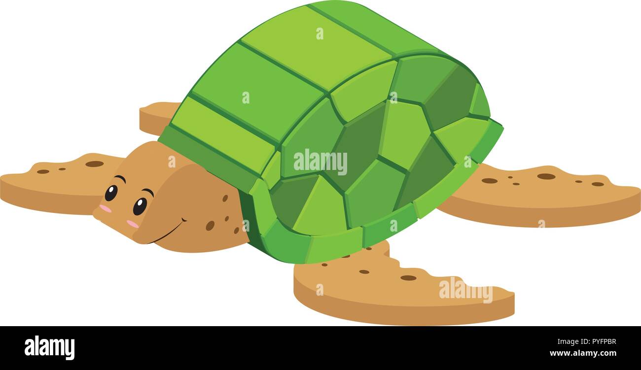 3D design for sea turtle illustration Stock Vector Image & Art - Alamy