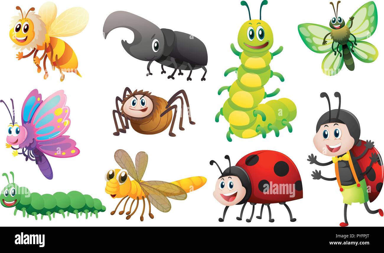 Different kinds of insects illustration Stock Vector Image & Art - Alamy