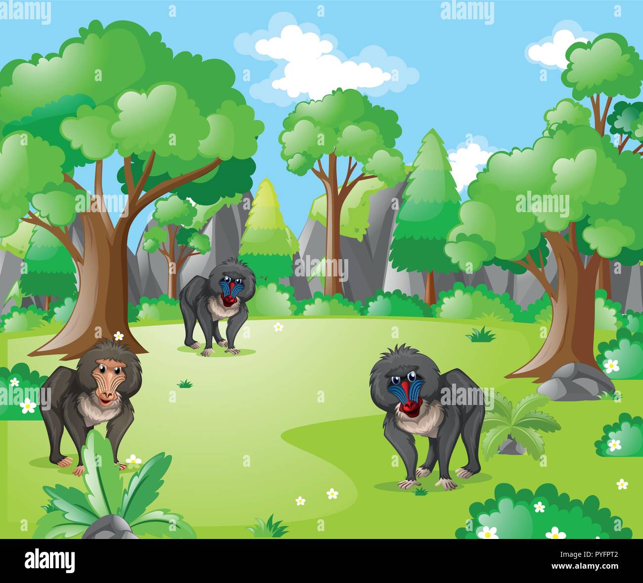 Baboon monkeys in the forest illustration Stock Vector Image & Art - Alamy