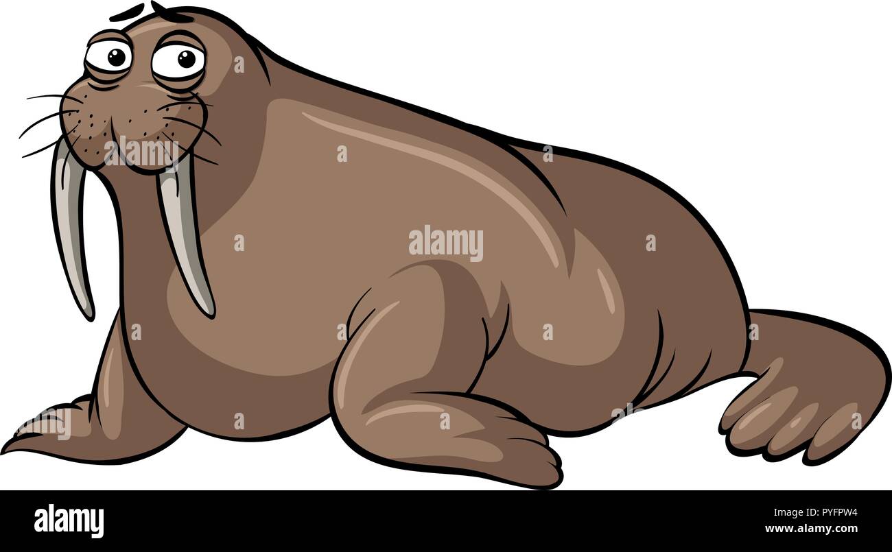 Walrus with sad face on white background illustration Stock Vector ...