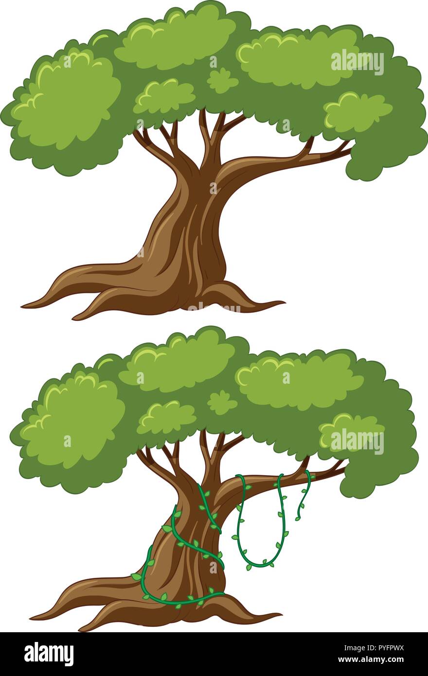 Two big trees with vine illustration Stock Vector Image & Art - Alamy