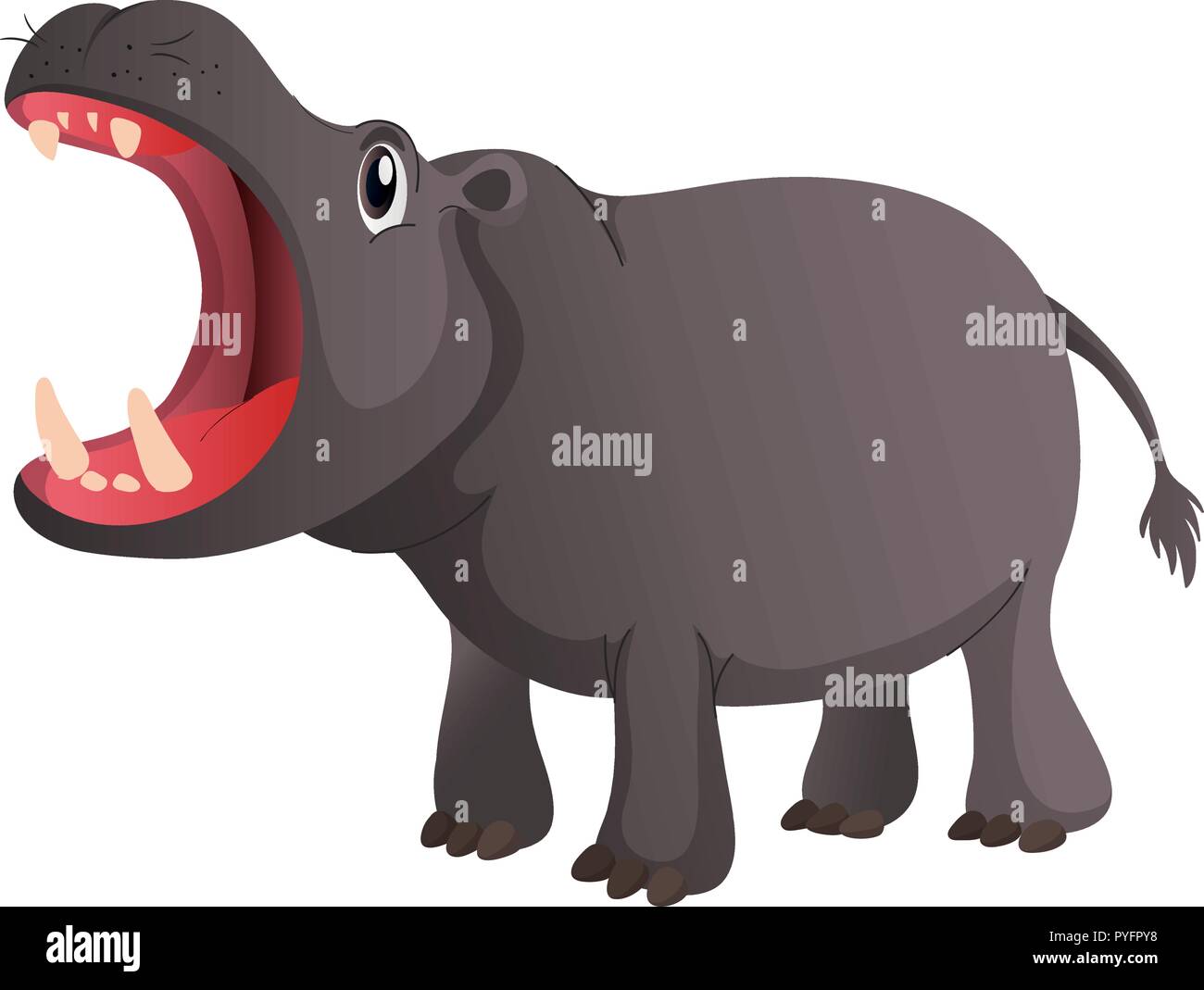 Wild hippo opens its mouth illustration Stock Vector Image & Art - Alamy