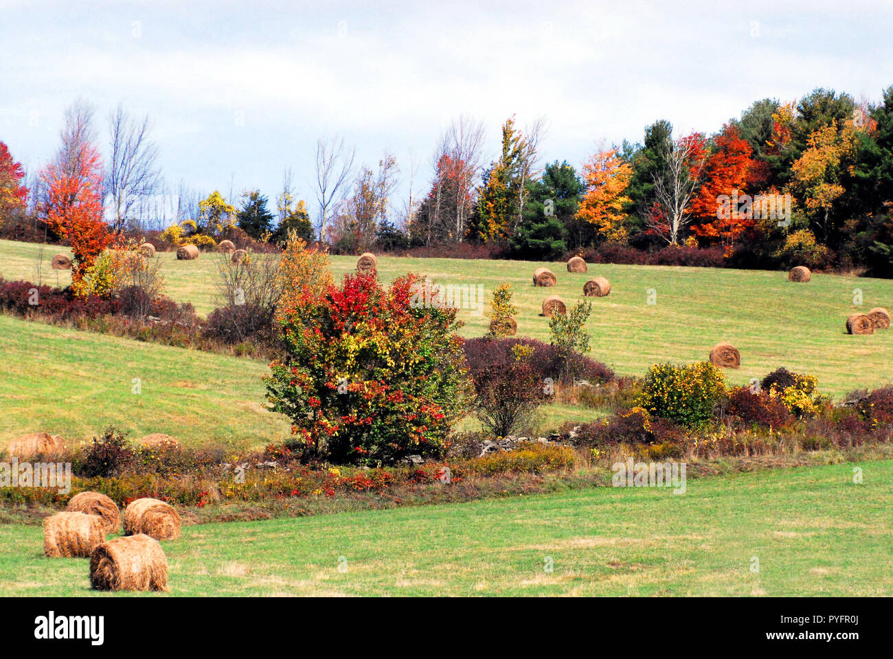 Hay fields hi-res stock photography and images - Alamy