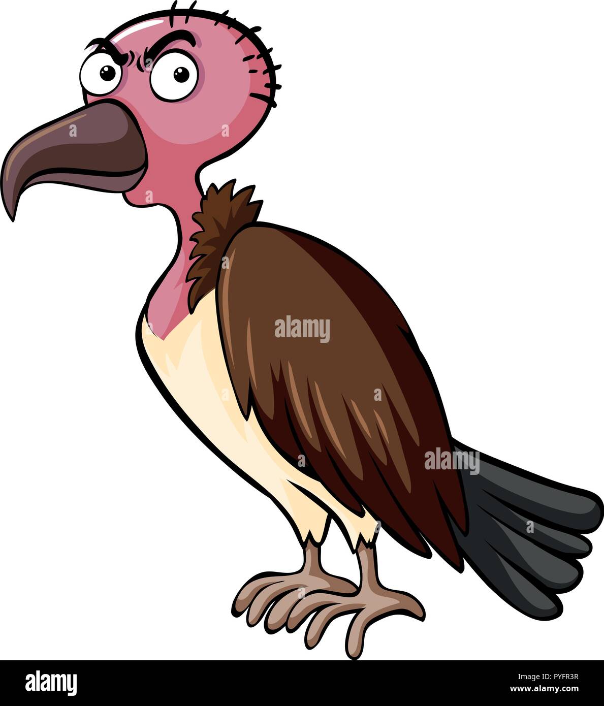 Wild vulture on white background illustration Stock Vector Image & Art ...