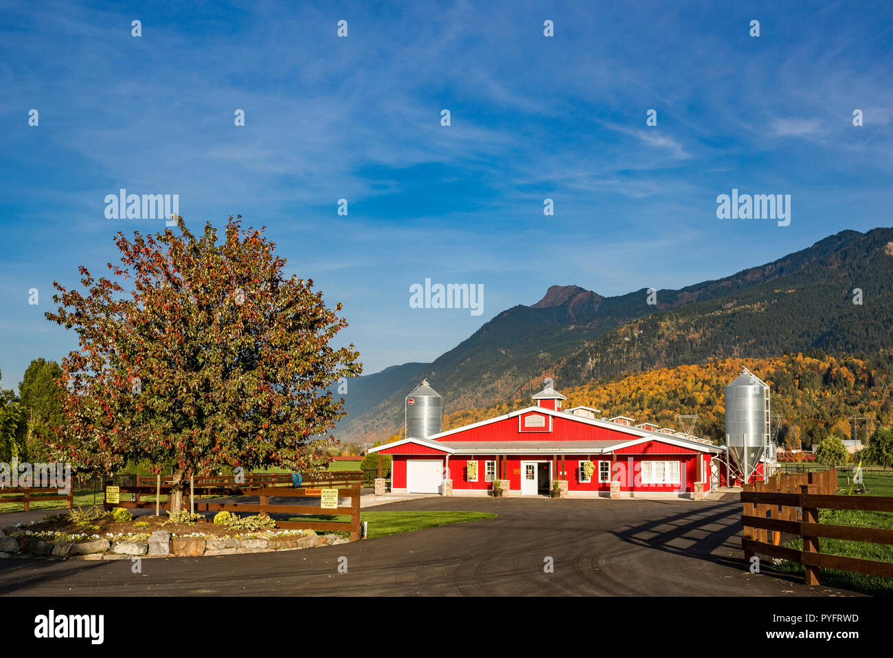 Chicken farm building hi-res stock photography and images - Alamy