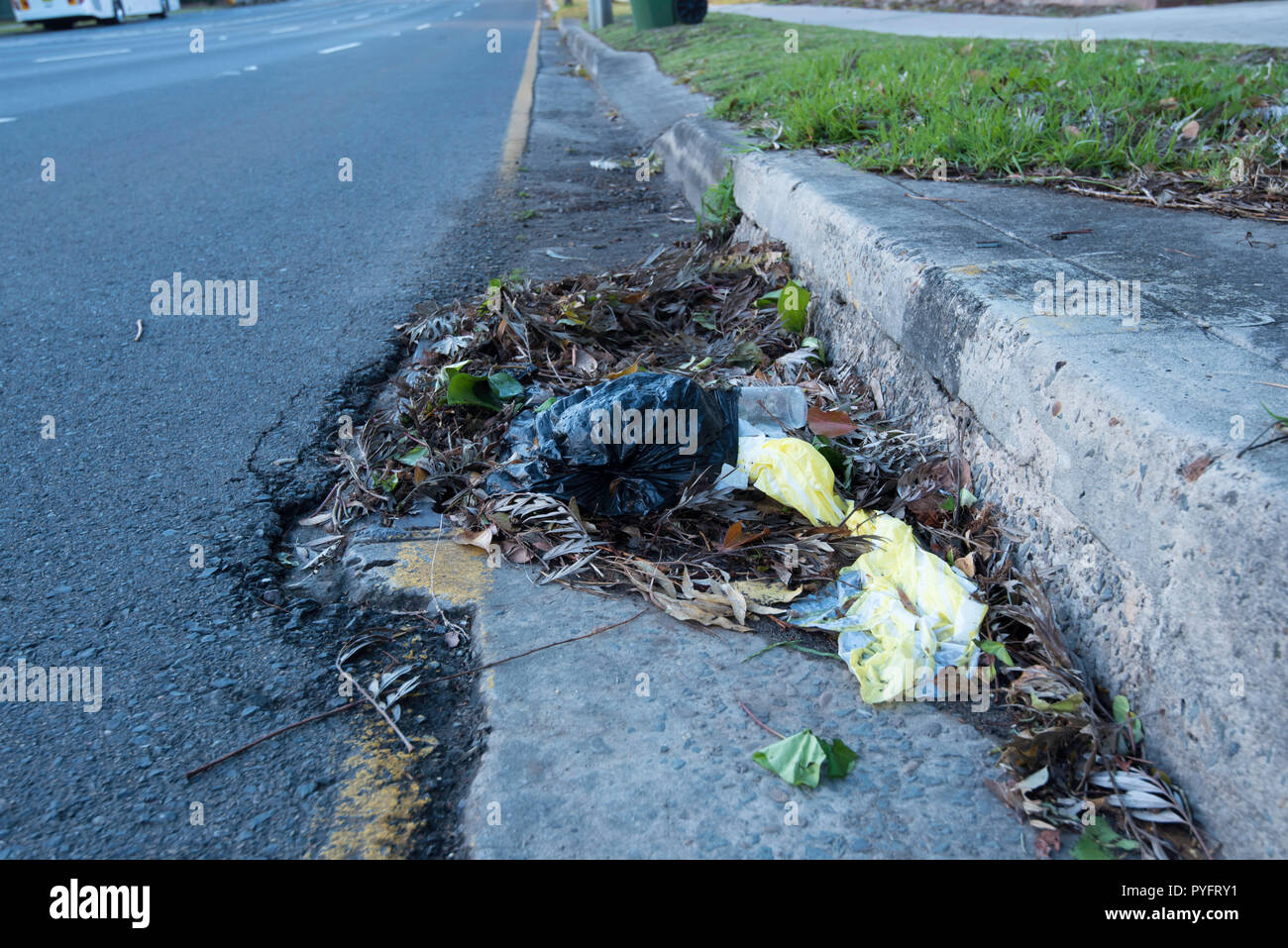 Rubbish caught in a street gutter beside a road in Sydney Australia ...