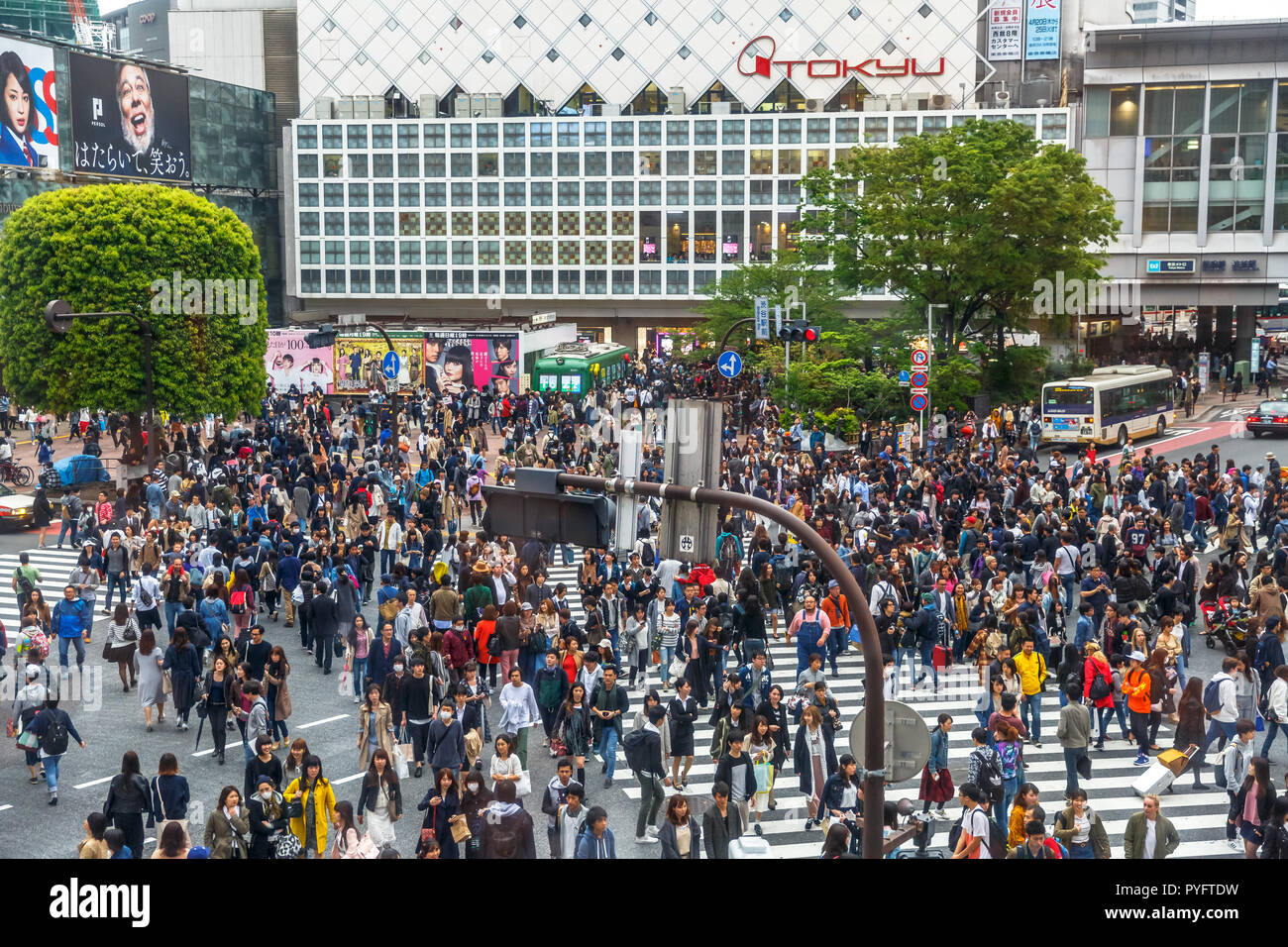 Aerial view crossing famous shibuya hi-res stock photography and images ...