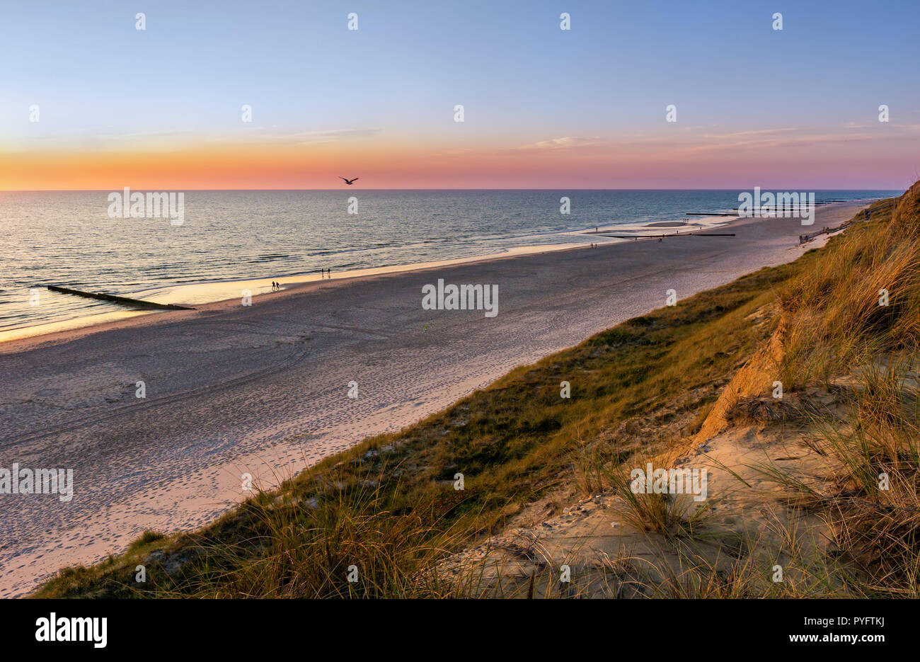 Red Cliff (Rotes Kliff) - Sylt, Germany Stock Photo - Alamy