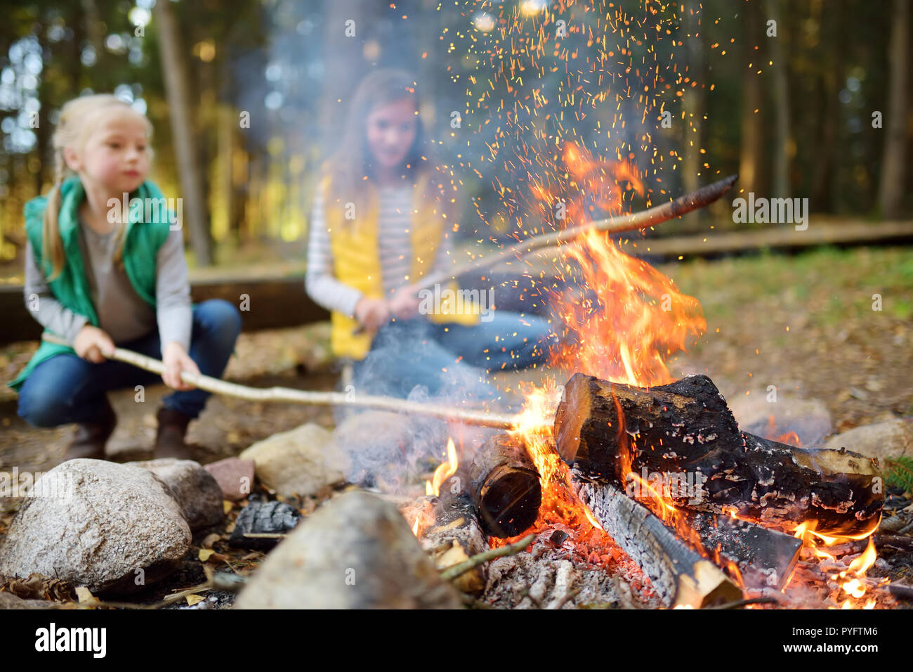 Cute little sisters roasting hotdogs on sticks at bonfire. Children ...