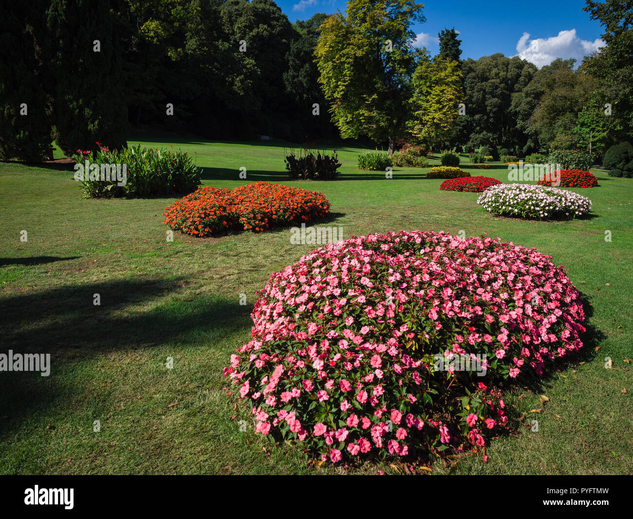 Bushes of colorful flowers in a garden surrounded by trees Stock Photo ...