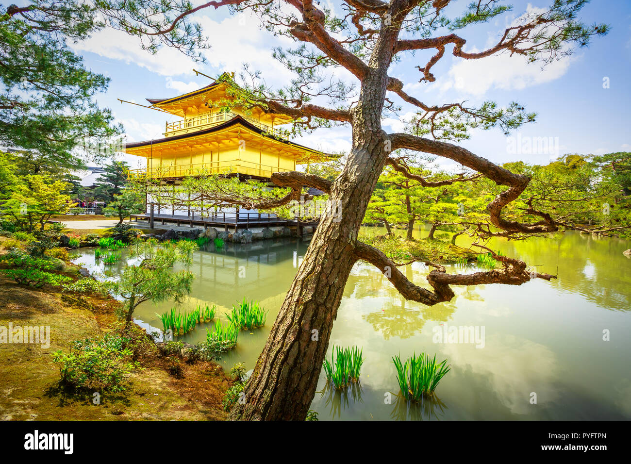 Rinzai zen temple hi-res stock photography and images - Alamy
