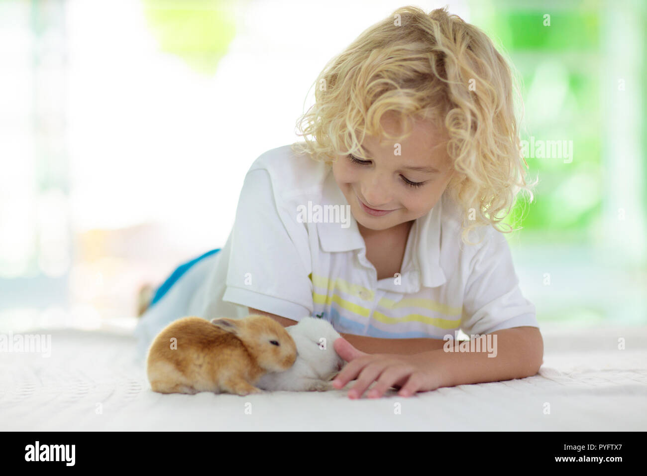 Child playing with white rabbit. Little boy feeding and petting white ...