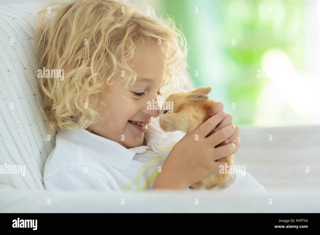 Child playing with white rabbit. Little boy feeding and petting white ...