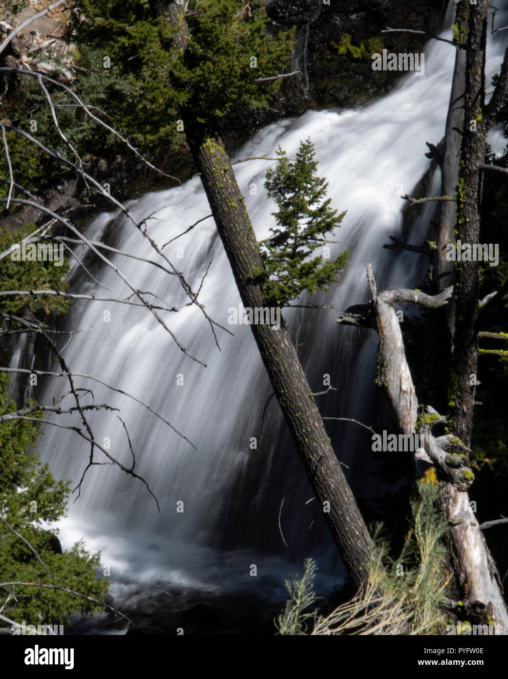 Yellowstone adventure hi-res stock photography and images - Alamy