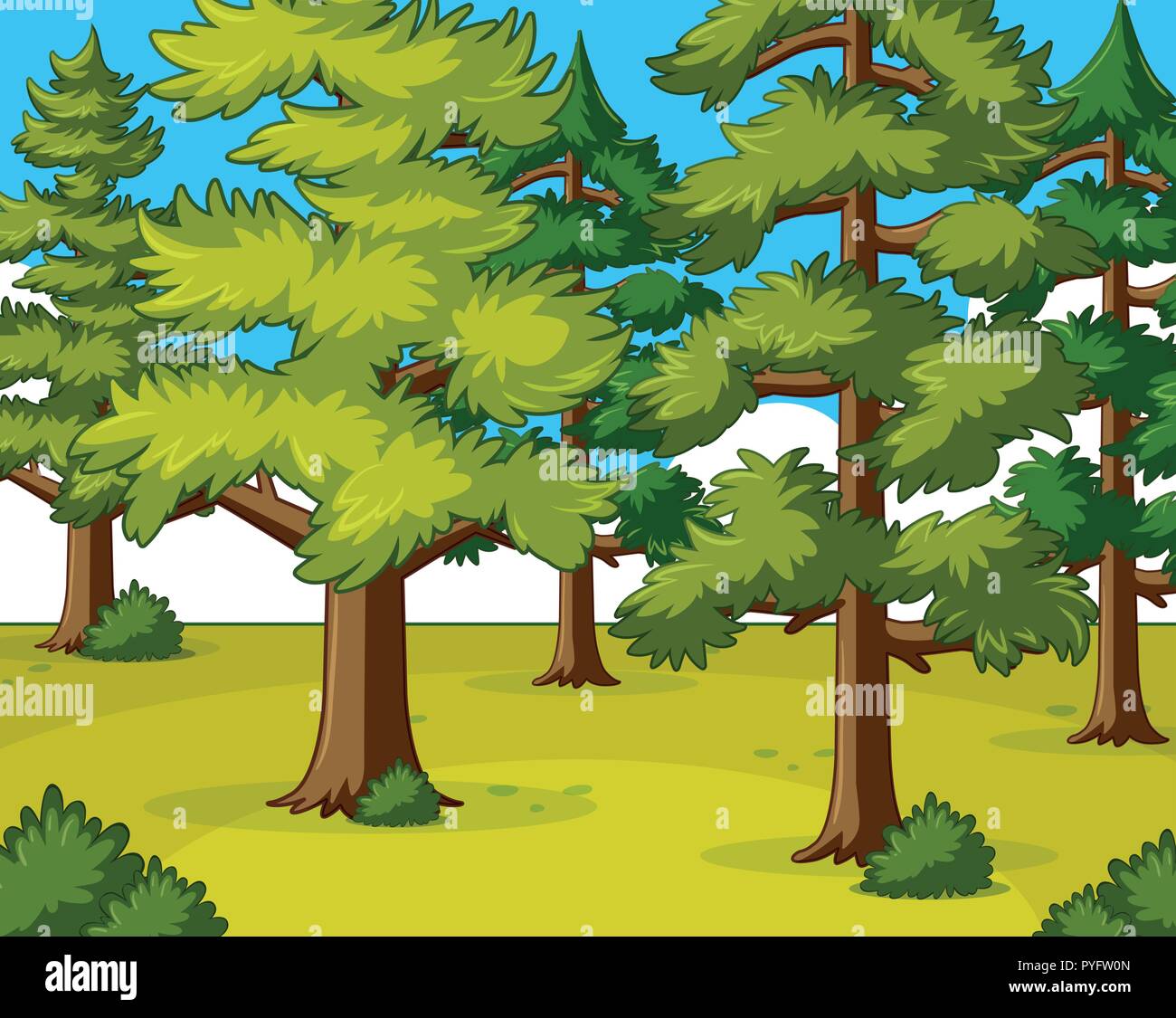 Pine forest at day time illustration Stock Vector Image & Art - Alamy
