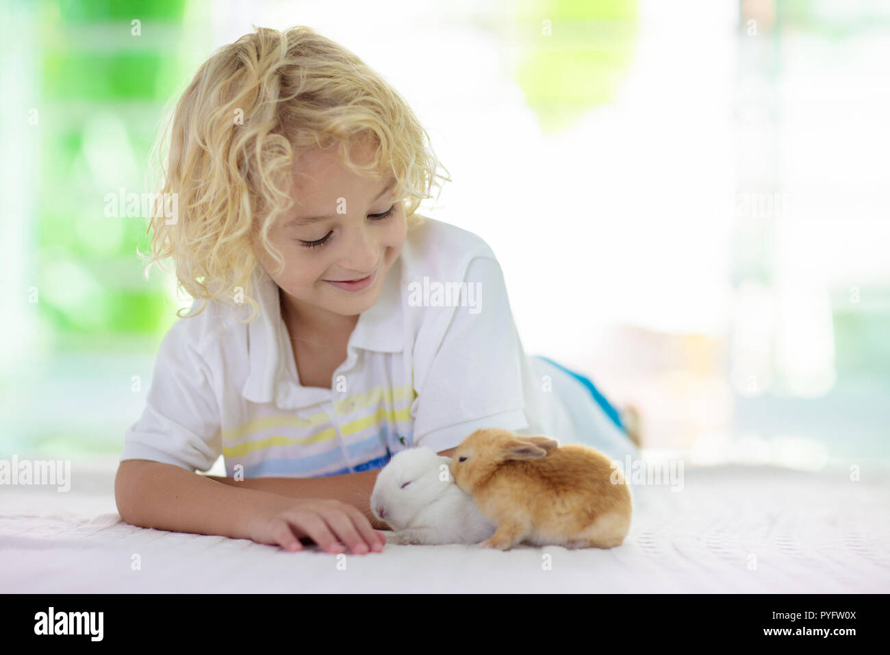 Child playing with white rabbit. Little boy feeding and petting white ...