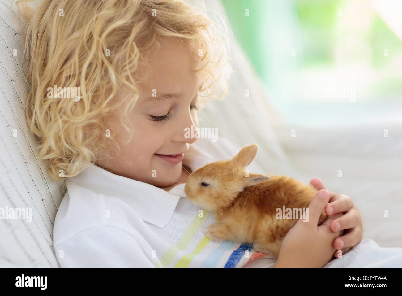 Child playing with white rabbit. Little boy feeding and petting white ...