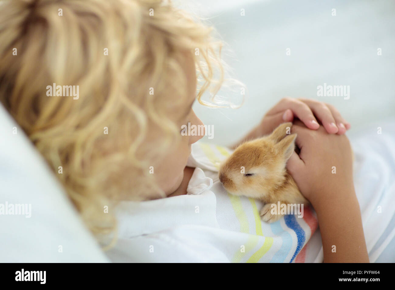 Child playing with white rabbit. Little boy feeding and petting white ...