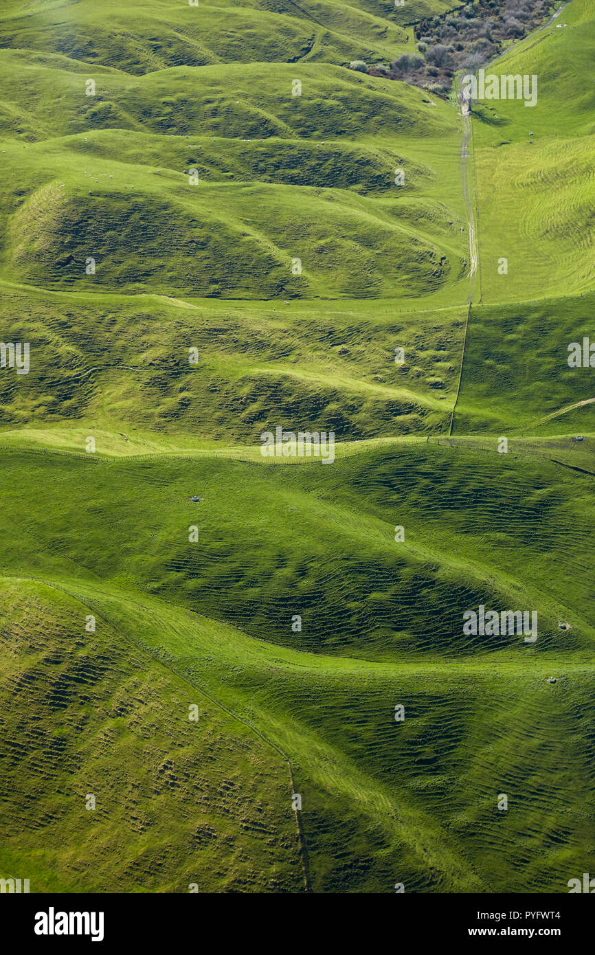 Farmland near Rotorua, North Island, New Zealand - aerial Stock Photo ...